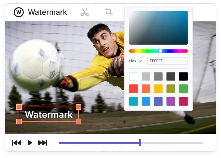 Flashback Video Converter
